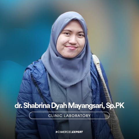 Research Team | CIMERCEL